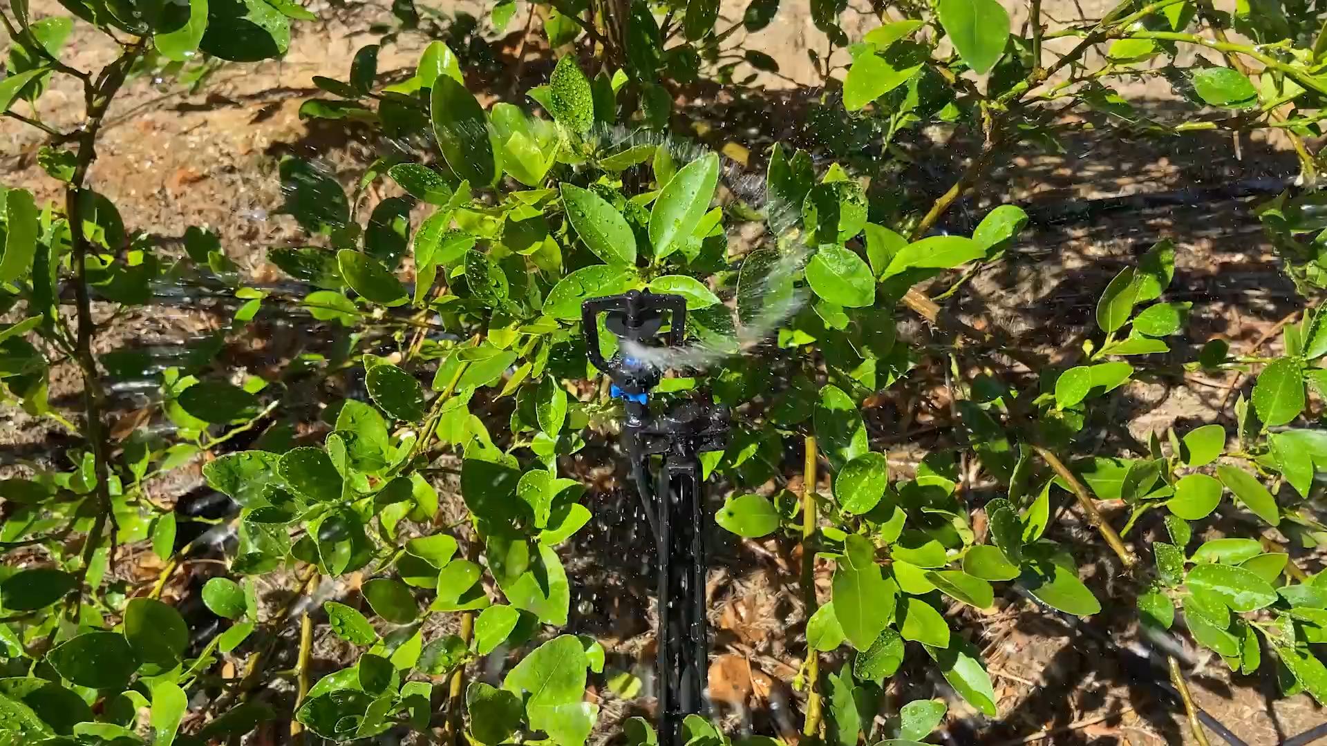 Microaspersor Louveira - Plasnova Tubos